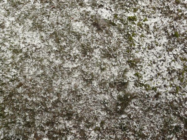 frozen ground texture 0002 - Texturelib